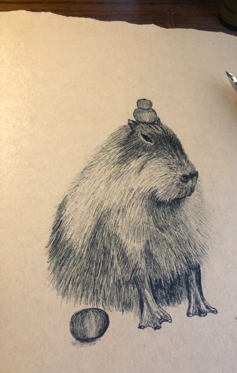Bộ sưu tập 85+ tranh vẽ capybara cute lạc lối